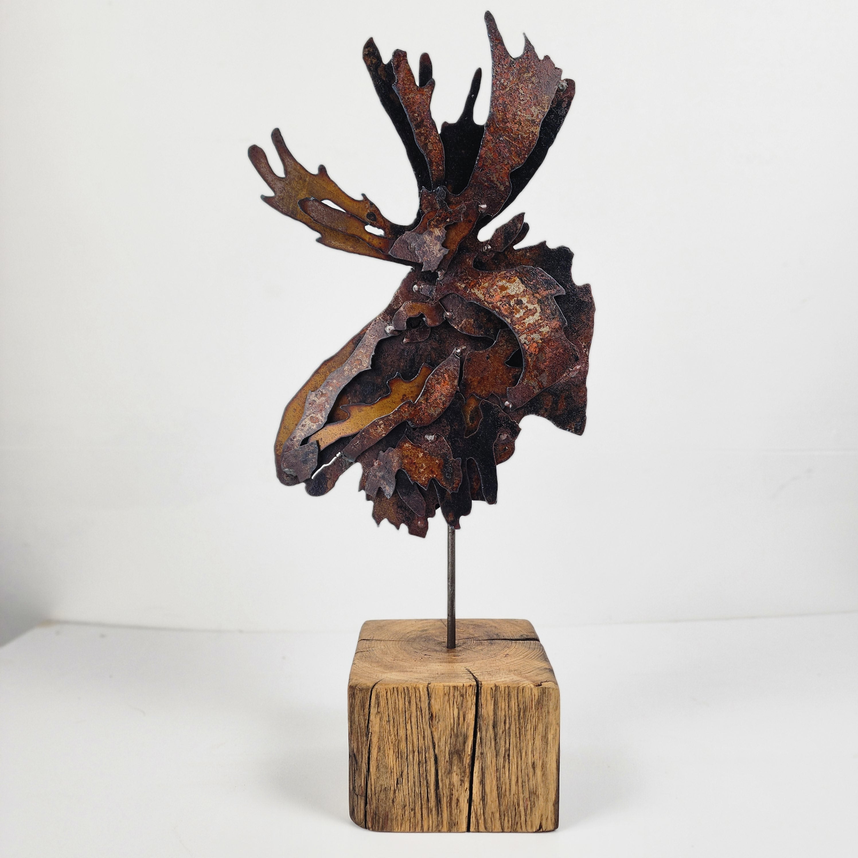 "Stanley" the moose metal art sculpture